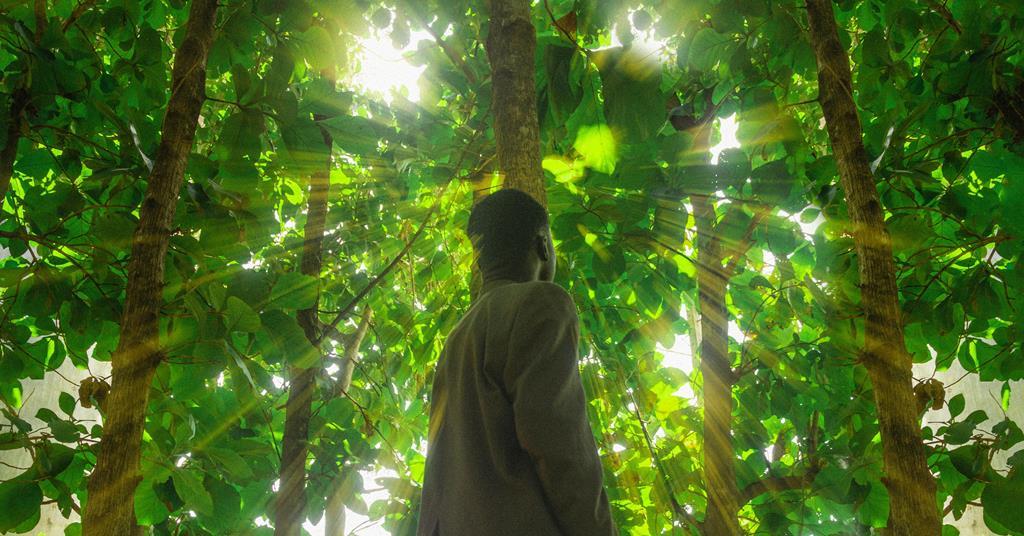 The big picture: Creation | Shows | Unbelievable