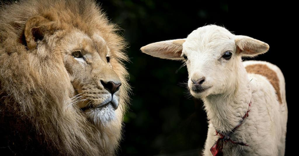 A Lion, a Lamb, and a Lab Coat - The Hope for Unity in Science and ...