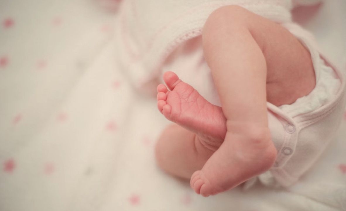 Divine Humility: The Astonishing Reality of God’s Arrival in a Manger ...